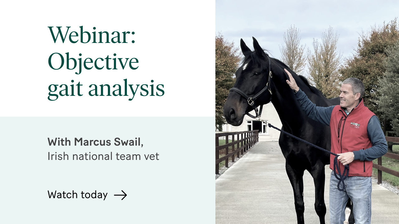Blogs, tutorials, webinars about objective gait analysis for equine vets